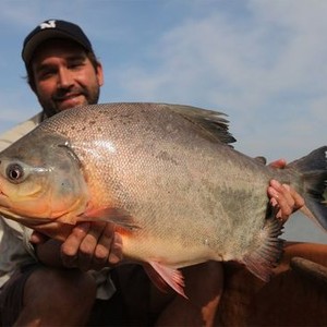 Zeb Hogan - Rotten Tomatoes