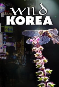 Wild Korea (2019) | Rotten Tomatoes