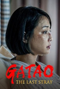 Gatao - The Last Stray | Rotten Tomatoes