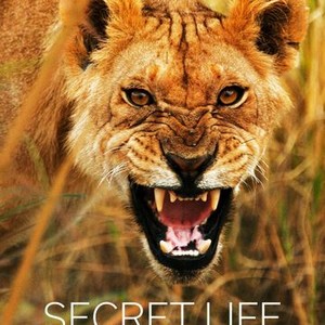 Secret Life of Predators - Rotten Tomatoes