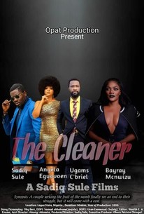 The Cleaner (2021) | Rotten Tomatoes