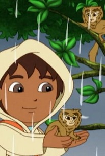 Go, Diego, Go!: Season 2, Episode 6 - Rotten Tomatoes