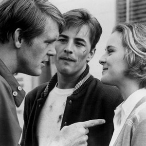 Robin Mattson - Rotten Tomatoes