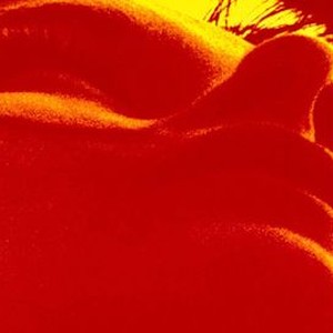 Morvern Callar - Rotten Tomatoes