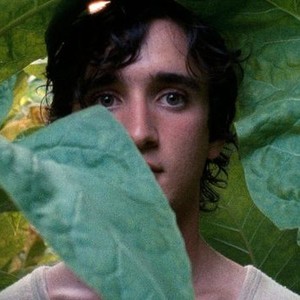Happy as Lazzaro - Rotten Tomatoes