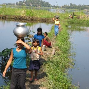 The Only Real Game - Rotten Tomatoes