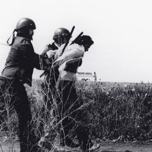 Incident at Restigouche - Rotten Tomatoes