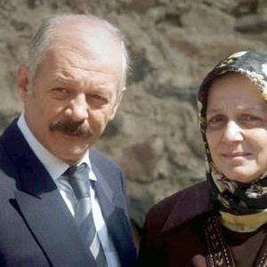 Kuma - Rotten Tomatoes