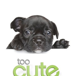Too Cute! - Rotten Tomatoes