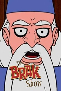 The Brak Show: Season 1 | Rotten Tomatoes