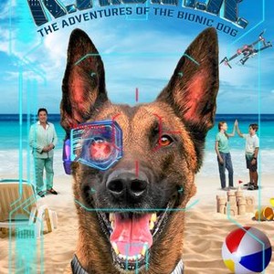 R.A.D.A.R.: The Adventures of the Bionic Dog - Rotten Tomatoes