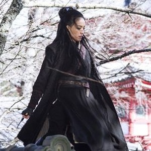 The Assassin - Rotten Tomatoes