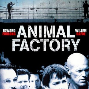 Animal Factory - Rotten Tomatoes