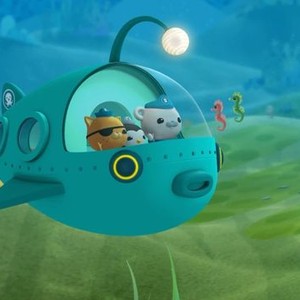 Octonauts: Season 1, Episode 23 - Rotten Tomatoes