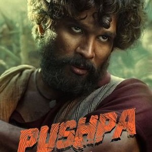 Pushpa: The Rise -- Part 1 - Rotten Tomatoes