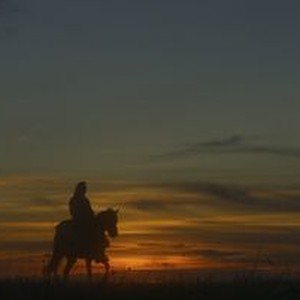 The English - Rotten Tomatoes