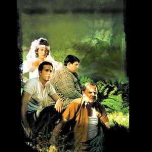 Kerry Fox - Rotten Tomatoes