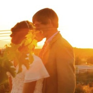 Divorce Corp. - Rotten Tomatoes