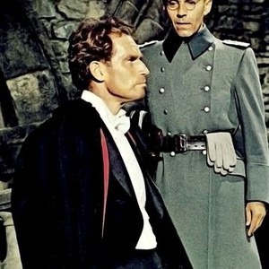 Counterpoint - Rotten Tomatoes