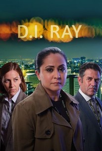 DI Ray: Season 2 | Rotten Tomatoes