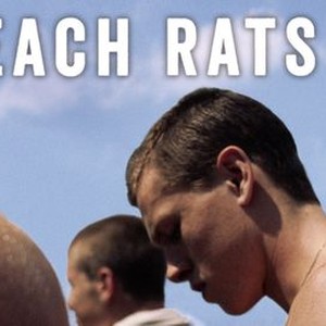 Beach Rats - Rotten Tomatoes