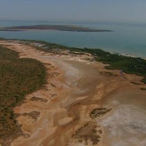 Shady Lady - Rotten Tomatoes