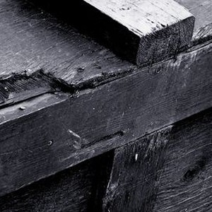 Colleen Stan: The Girl in the Box - Rotten Tomatoes