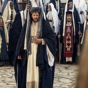 Will Thorp - Rotten Tomatoes