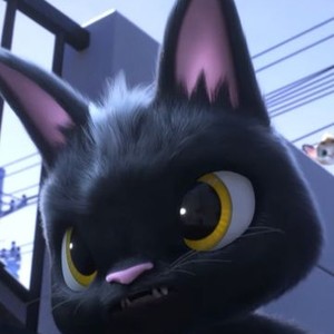 Rudolf the Black Cat - Rotten Tomatoes