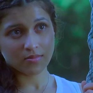 Zid - Rotten Tomatoes