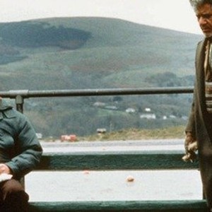 Happy Now - Rotten Tomatoes