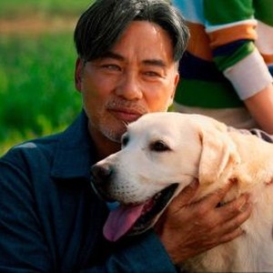 Little Q - Rotten Tomatoes