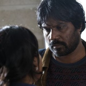 Dheepan - Rotten Tomatoes