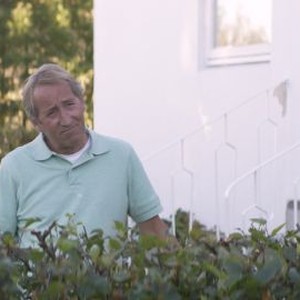 Under the Tree - Rotten Tomatoes