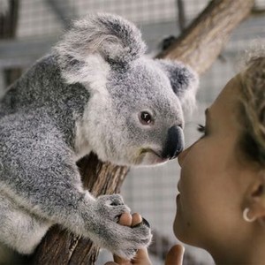 Izzy's Koala World - Rotten Tomatoes