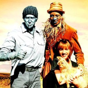 After the Wizard - Rotten Tomatoes