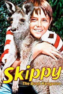 Skippy: Season 2 | Rotten Tomatoes