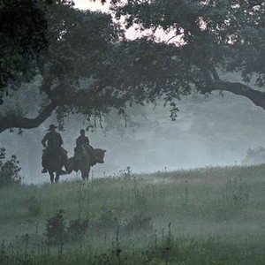 Among Wolves (2010) - Rotten Tomatoes