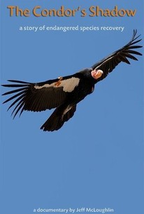 The Condor's Shadow | Rotten Tomatoes