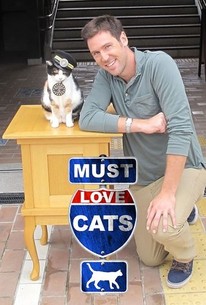 Must Love Cats: Season 1 | Rotten Tomatoes