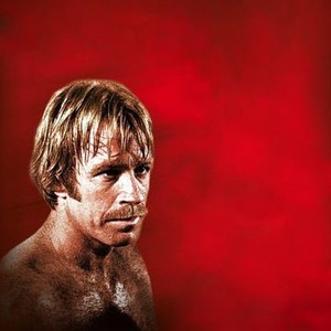 The Octagon - Rotten Tomatoes