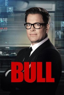 Bull | Rotten Tomatoes