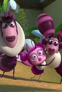 Larva Family: Season 1, Episode 9 - Rotten Tomatoes