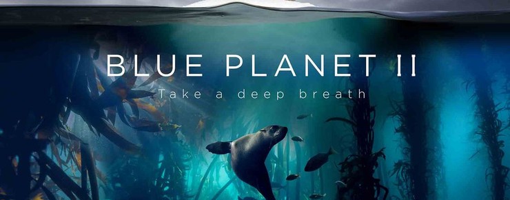 Blue Planet II - Rotten Tomatoes