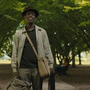 Empire of Light - Rotten Tomatoes