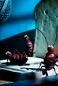 Creature Comforts: Season 1, Episode 3 - Rotten Tomatoes