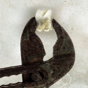 Vile - Rotten Tomatoes