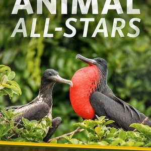 Animal All-Stars - Rotten Tomatoes