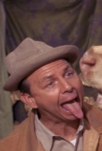 Green Acres: Season 4, Episode 7 | Rotten Tomatoes