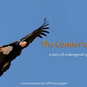 The Condor's Shadow - Rotten Tomatoes